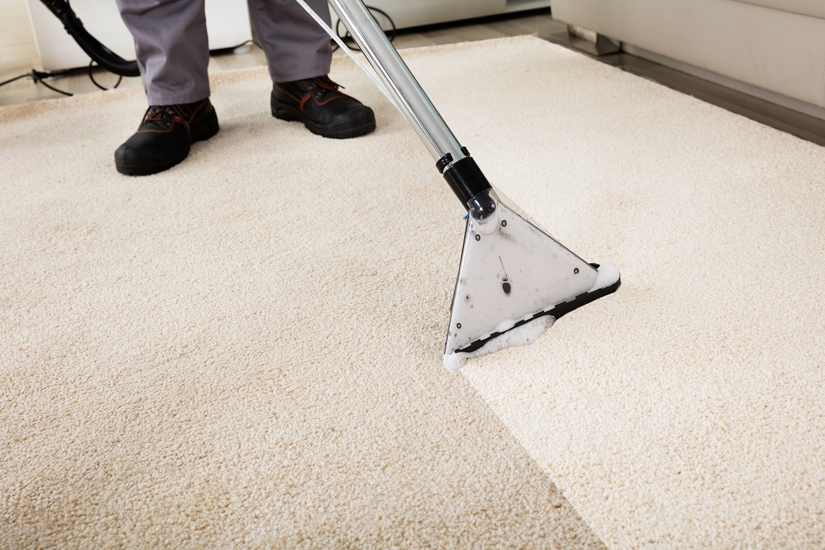 How Much Does Carpet Cleaning Overall Cost Latest Prices