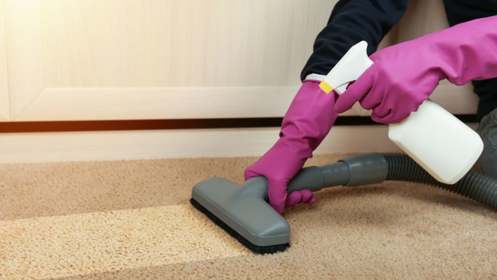 Safe Carpet Cleaning Solutions You Can Do At Home - Next Day Cleaning
