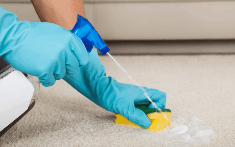 Stain Removal Guide: Tips and Tricks for Removing Stubborn Stains ...
